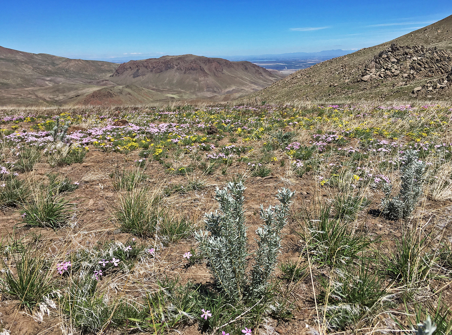 Welcome to the Land Treatment Digital Library Website